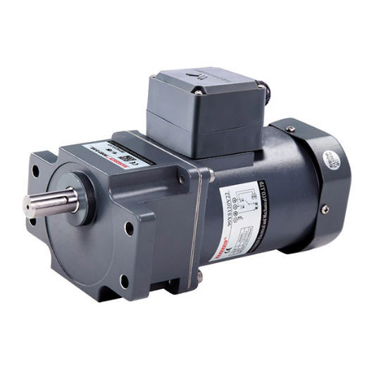 Variable-speed gear-motor - WANSHSIN SEIKOU (HUNAN) CO., LTD. - AC ...