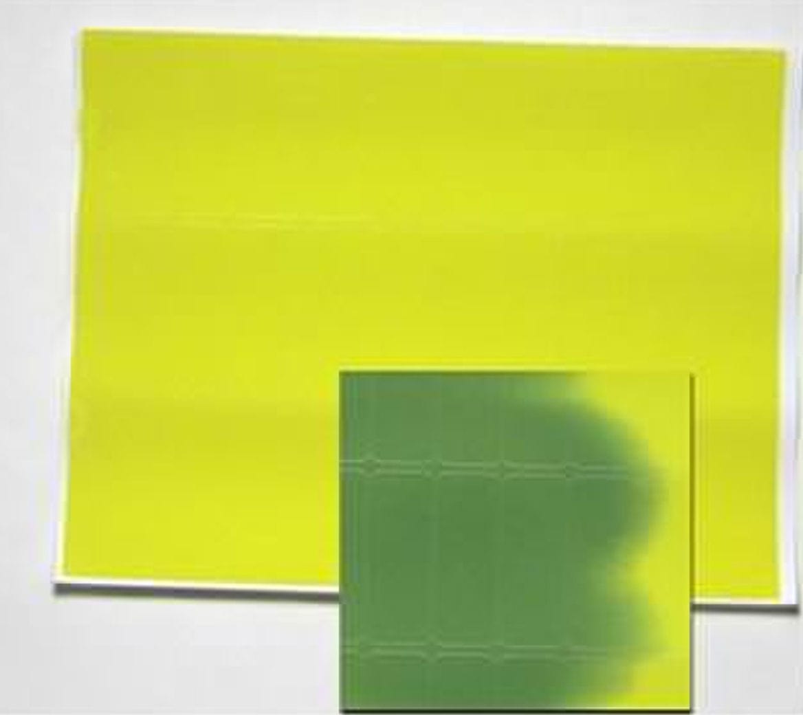 Thermo-sensitive label - EK100 series - SpotSee - paper / yellow / green