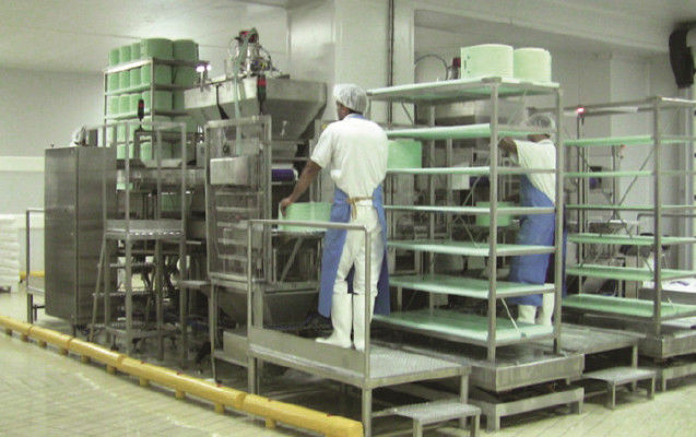 Cheese salting machine - LAST - CAD PROJECT S.R.L.