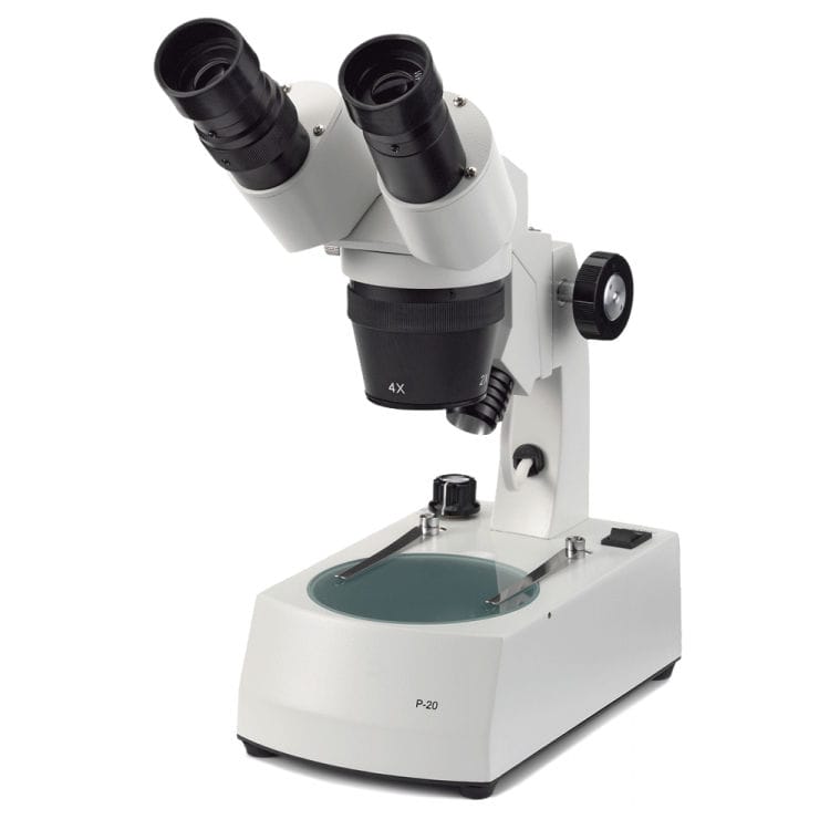 Optical stereo microscope - P series - Euromex - industrial / binocular ...