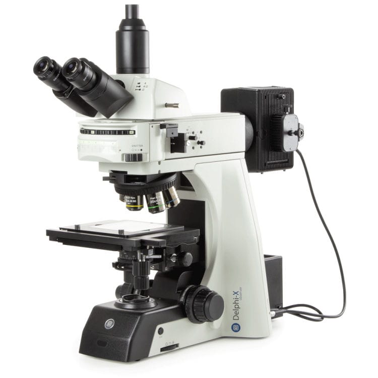Optical microscope - Delphi-X series - Euromex - metallurgical ...