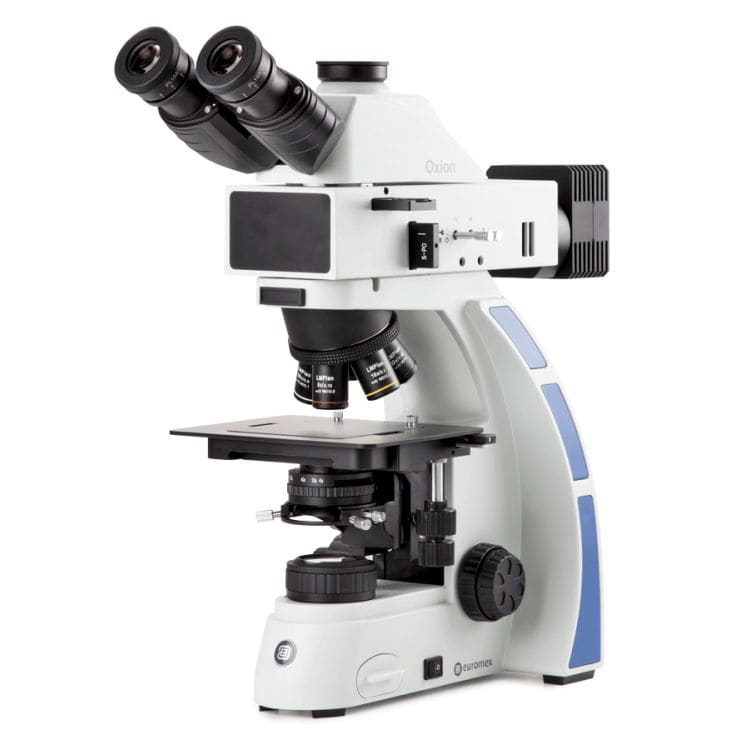 Optical microscope - Oxion series - Euromex - industrial / upright ...