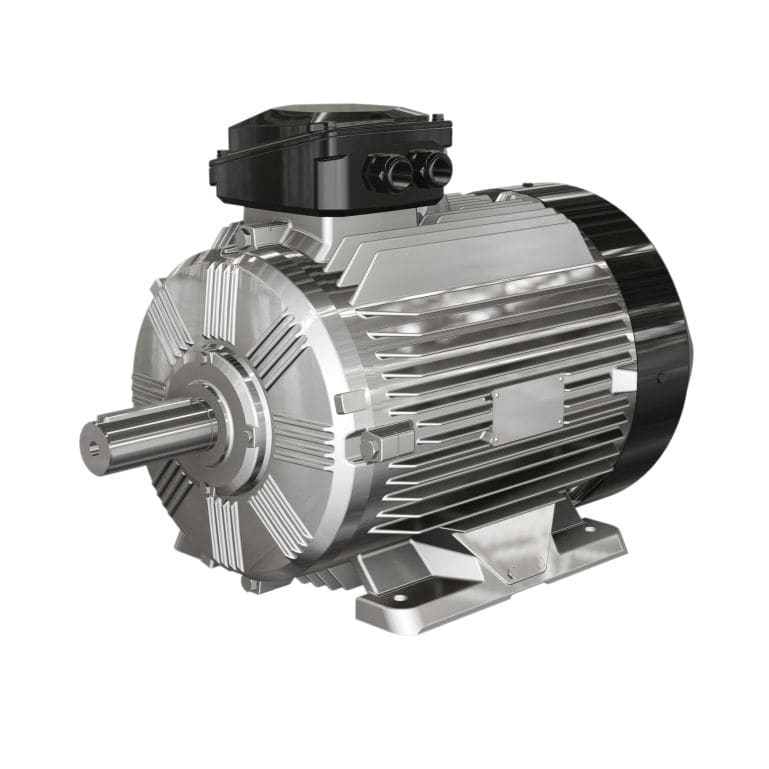 Asynchronous motor - WE3 series - Wolong Electric Group - three-phase / cast iron frame ...