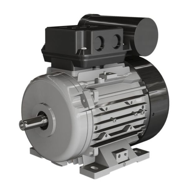 Asynchronous motor - A, L, N series - Wolong Electric Group - single ...