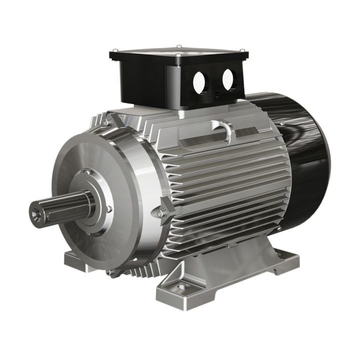 Induction motor - A series - Wolong Electric Group - three-phase / IP55 / IP65