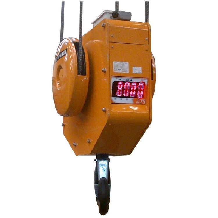 Lifting hook block - APMCP - DINAKSA PESAJE - motorized / scale / 2 pulleys