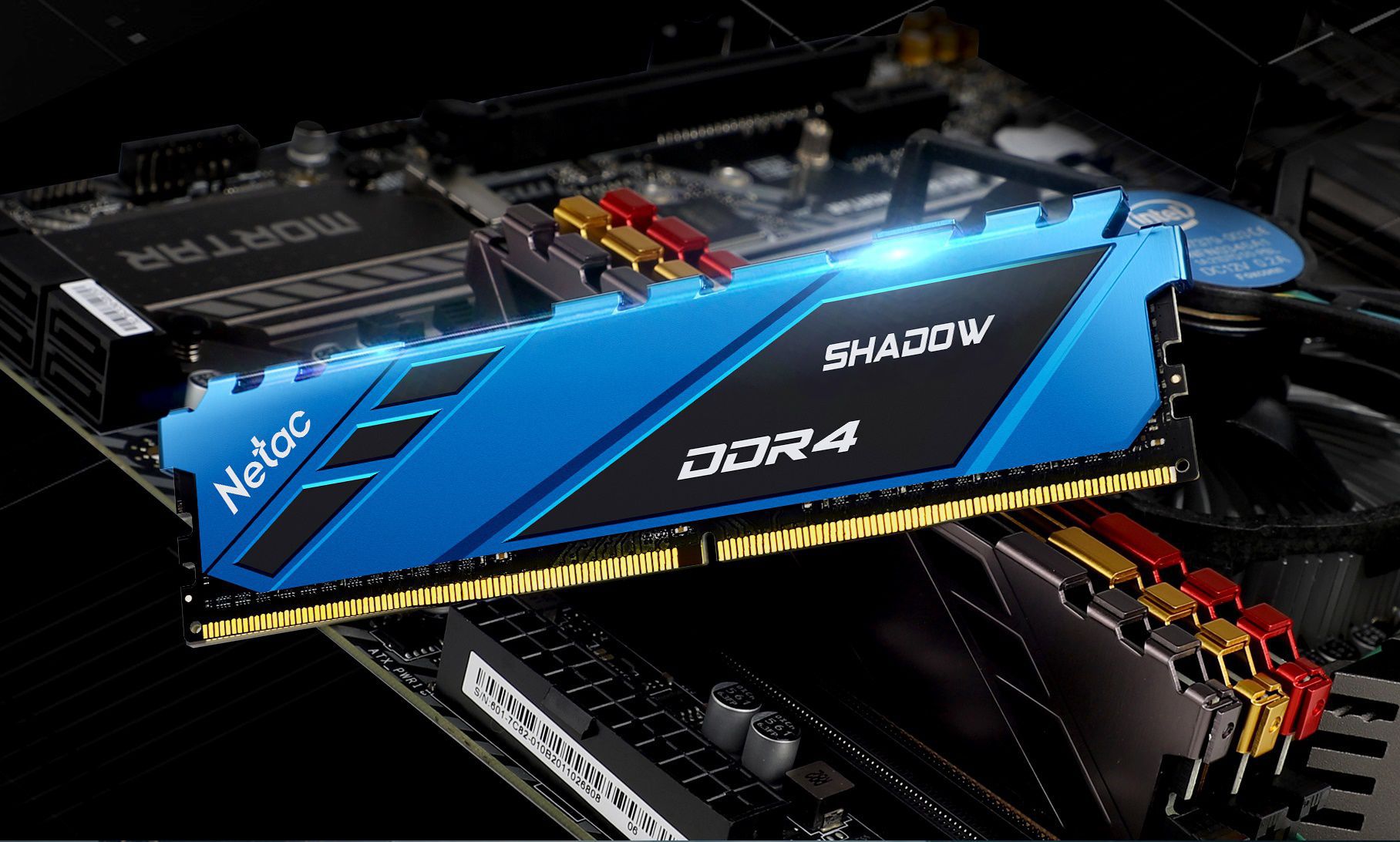 DDR4 SDRAM memory module - Shadow - Netac Technology Co.,Ltd.