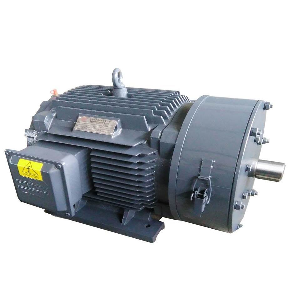 Motor with built-in electromagnetic brake - D1CEJ series - Dalian Dalmo Electric Motor Co. Ltd ...