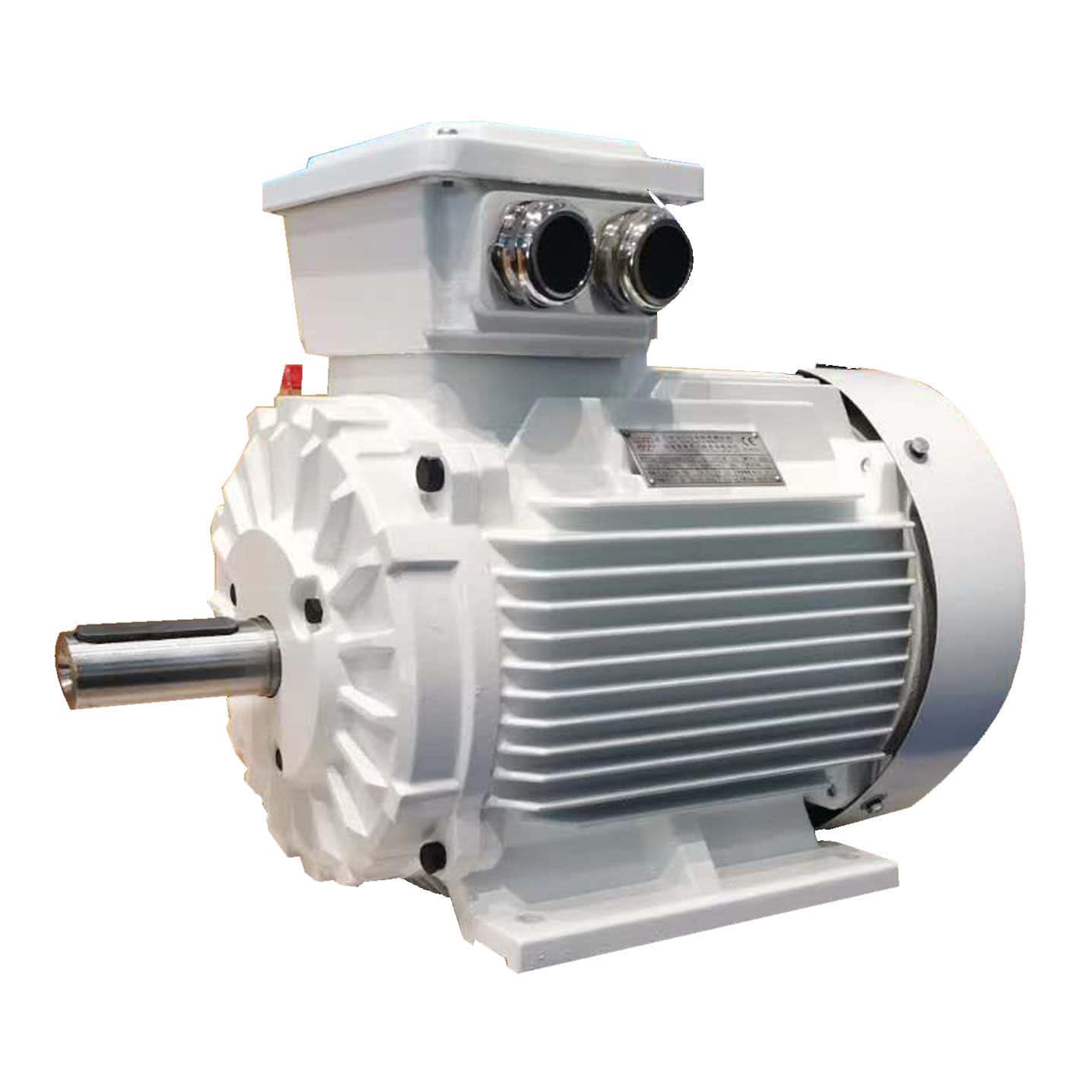 Asynchronous torque motor - YE4 series - Dalian Dalmo Electric Motor Co. Ltd - 3-phase / IP54 / IP55