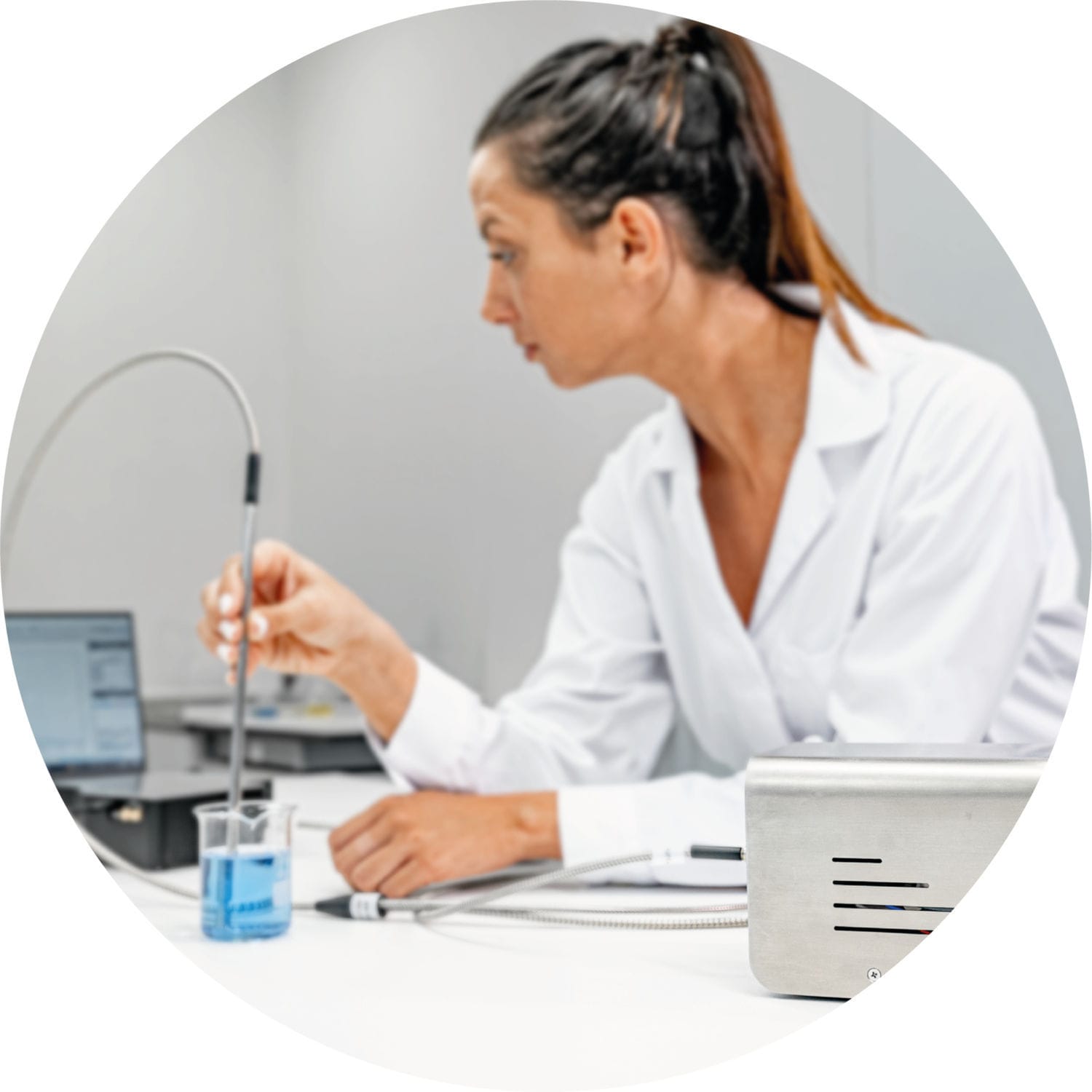 Test probe - Absorbance FLEX Pack Probe - Sarspec, Lda - optical ...