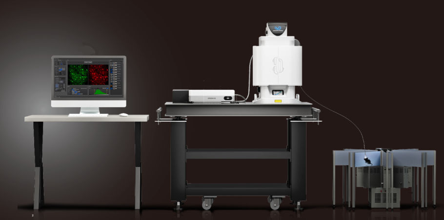 2-photon microscope - SUPERNOVA-100 - Beijing Transcend Vivoscope Co ...
