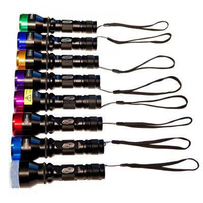 LED flashlight - Nova - LABINO - UV / work / compact