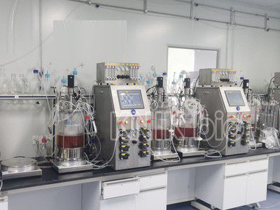 Batch bioreactor / fermentor - KNIK CO.,LTD. - continuous / laboratory / benchtop
