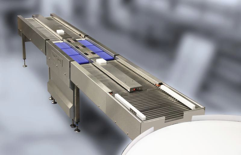 Automatic weighing system - Fine-Spect - dynamic