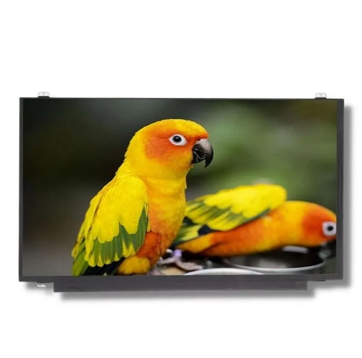 15.6" display module - TTX156XHT-01 - TAILOR PIXELS TECHNOLOGY CO., LTD ...