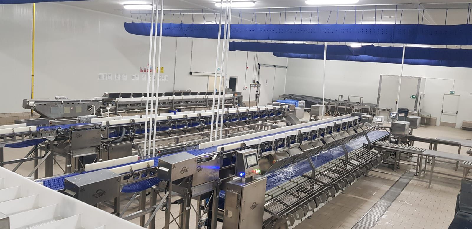 Fish grading machine - PRSG-WFG - Arde Makine San. ve Tic. Ltd. Şti ...