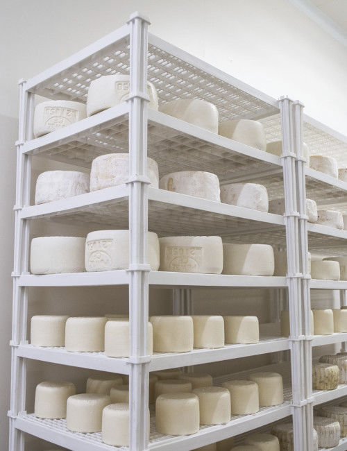 Stackable rack - Avioincar srl - cheese / polypropylene