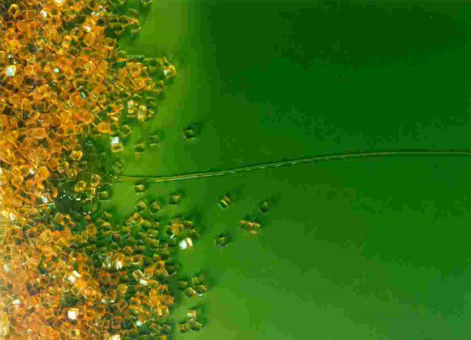 PVC adhesive - Euremelt® - Huntsman Advanced Materials - for plastics ...