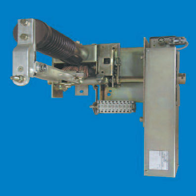 Motorized disconnect switch - L 31/093302 - Fritz Driescher & Söhne ...