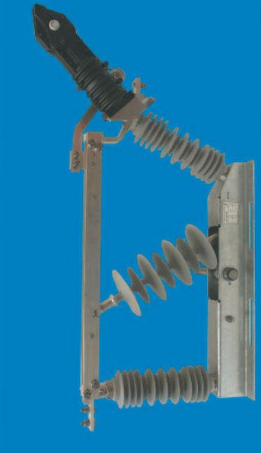 Medium-voltage switch disconnector - FLa 15/9700-1B - Fritz Driescher ...