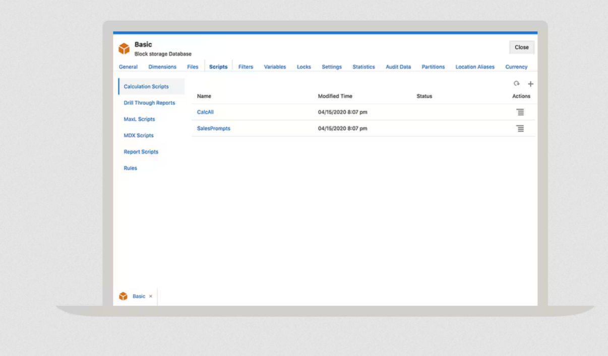 Analysis software - Essbase - Oracle - interface / visualization / for test