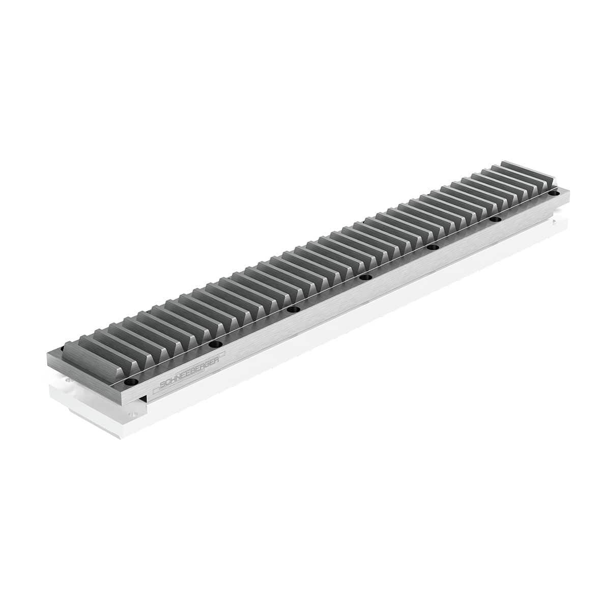 Straight-toothed rack and pinion - SCHNEEBERGER AG Linear Technology ...