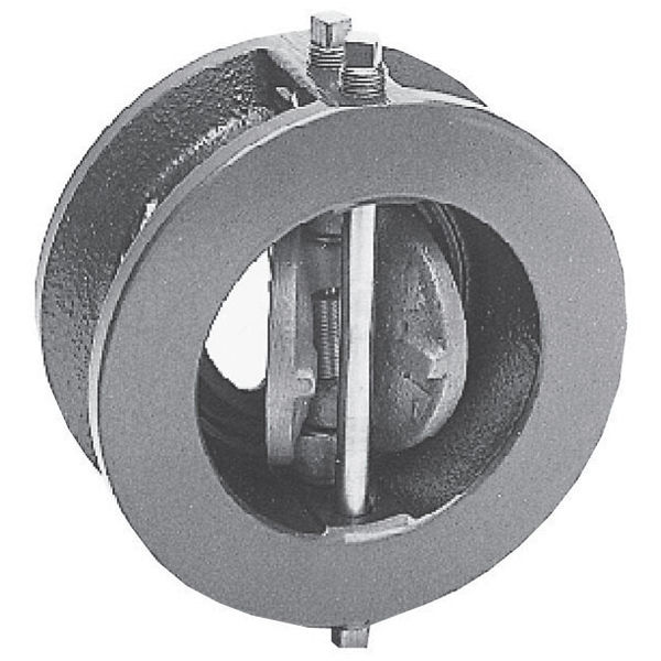 Dual plate check valve - 76 - Mueller Steam - stainless steel