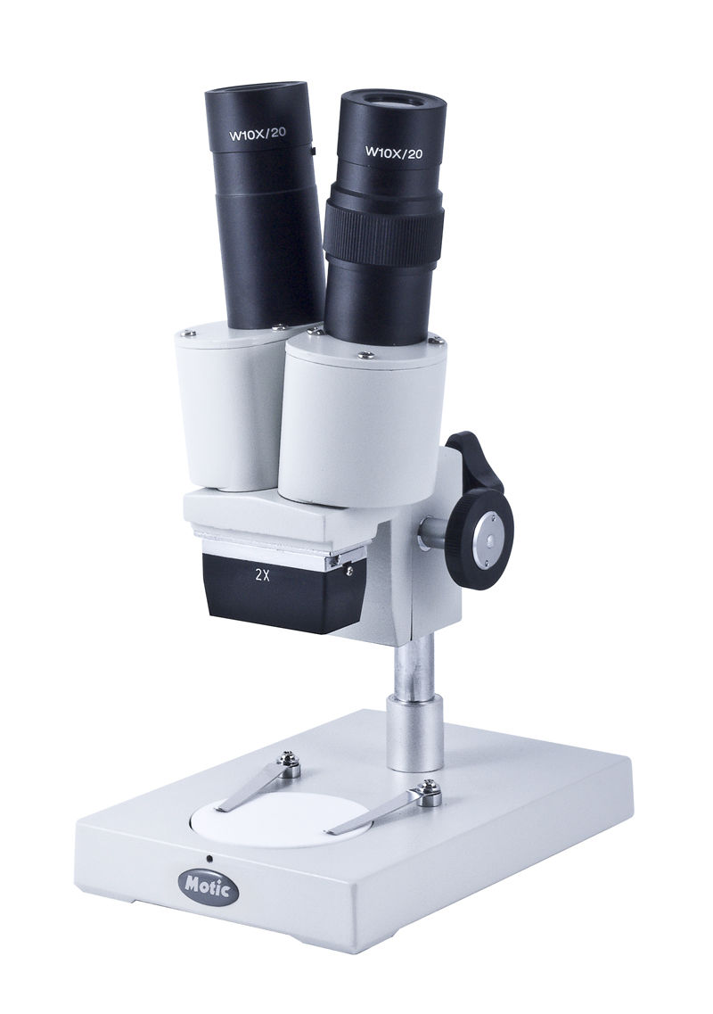 Optical stereo microscope - 10X, 20mm | S-10P - Motic - upright