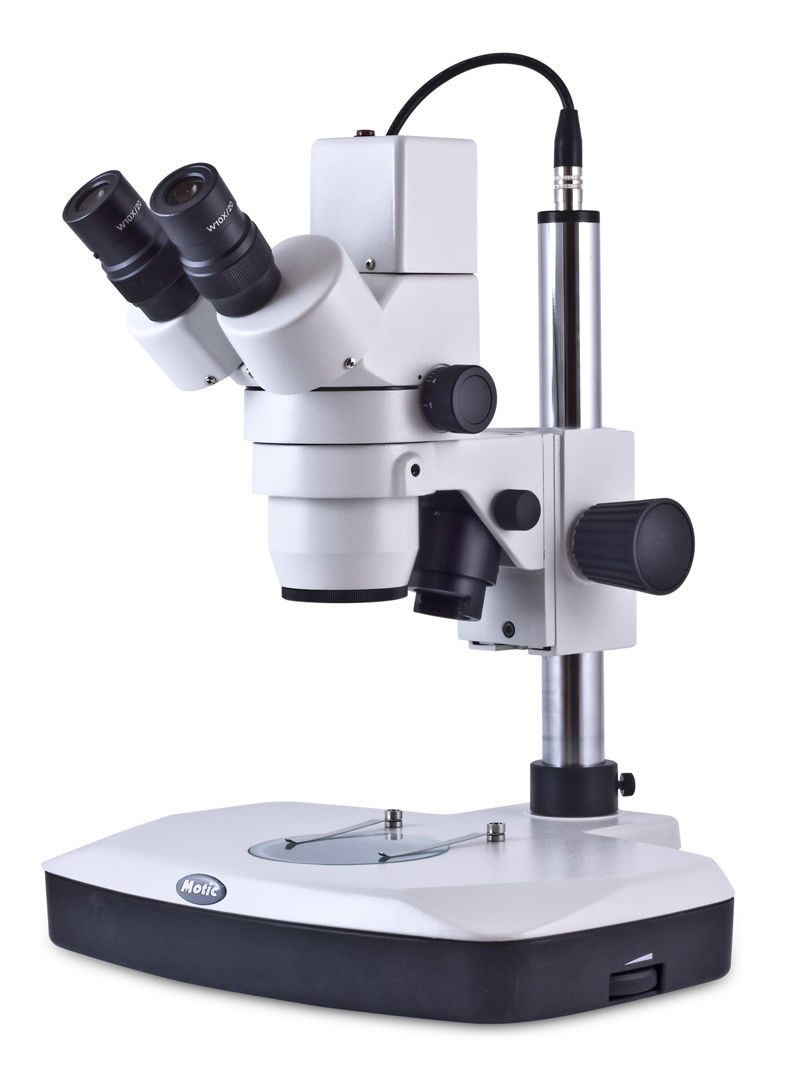 Optical stereo microscope - DMW-143-FBGG - Motic - zoom / digital camera