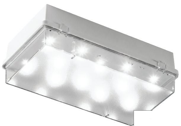 Cooper Ceiling Mounted Emergency Lights | Shelly Lighting
