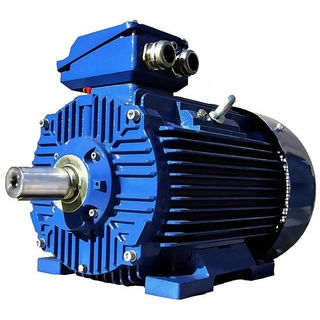 Induction motor - 3SIE200L4C - Cantoni Motor - three-phase / 400 V / 380 V
