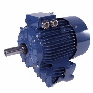 Multi-speed motor - Sh71-4/2BW - Cantoni Motor - induction / three ...