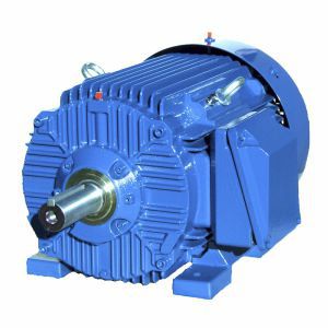 Induction motor - SIE286TS2 - Cantoni Motor - three-phase / 460 V ...