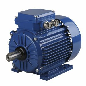 Synchronous motor - ExSh56-2A T3 - Cantoni Motor - three-phase / 400 V ...