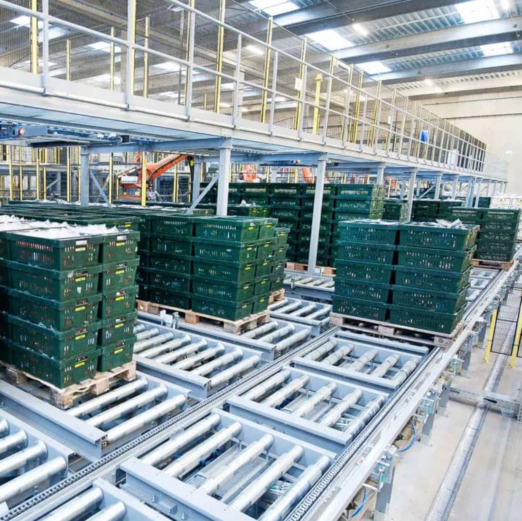 Pallet conveyor - DEMATIC - roller / chain / horizontal