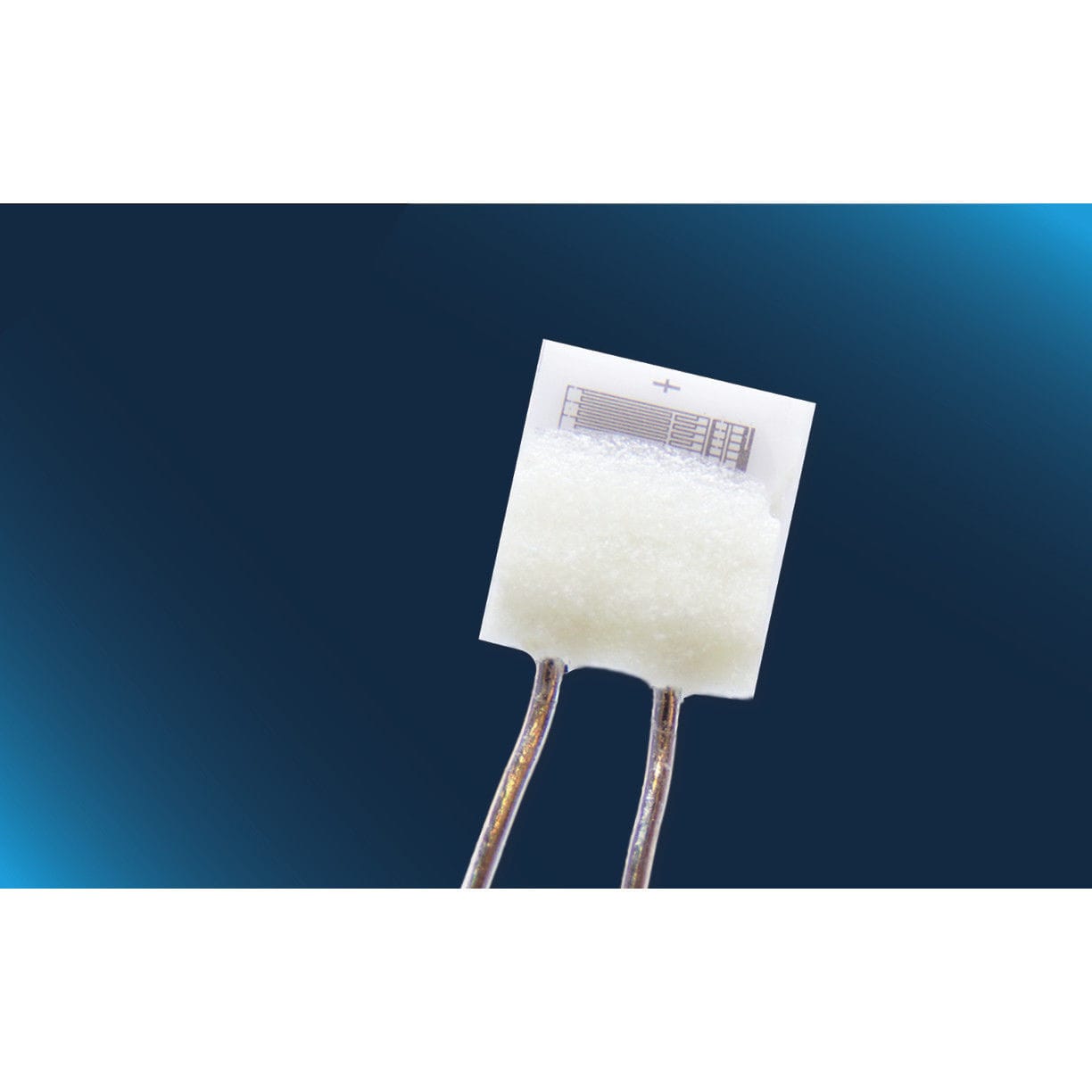 RTD temperature sensor - Standard Pt1000 (232) class F0.1 - Innovative ...