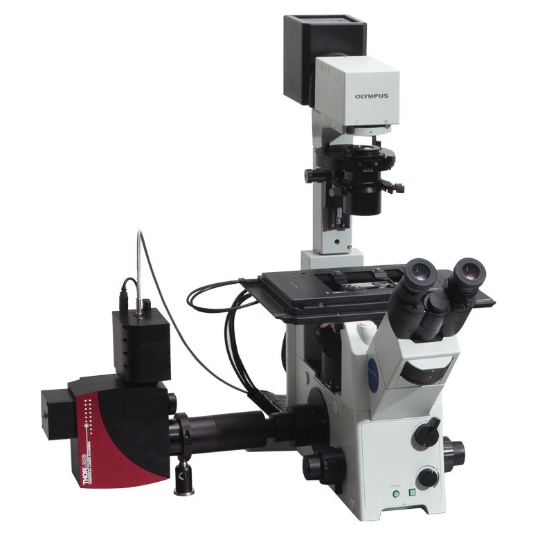 Laboratory microscope - CLS Series - Thorlabs - 3D / confocal / benchtop