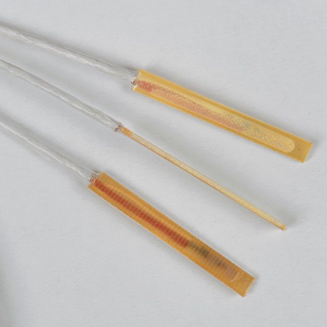 Pt100 temperature sensor - PTSP - TECSYSTEM srl - RTD / insulated / flat