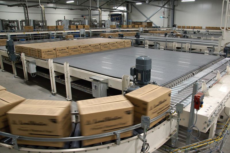 Multi-line palletizer - Scott Automation - layer / tray / case
