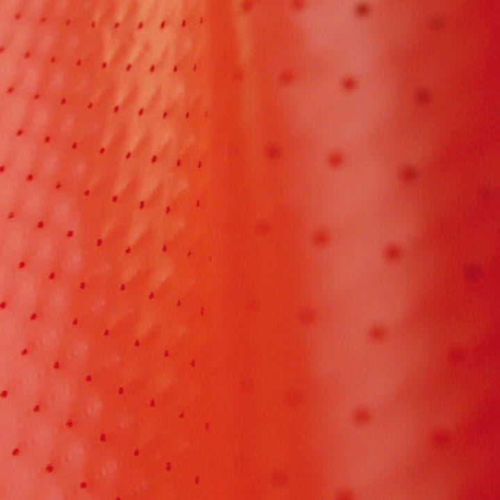 Release film - PP40 - Diatex - polyolefin / polyester / polypropylene