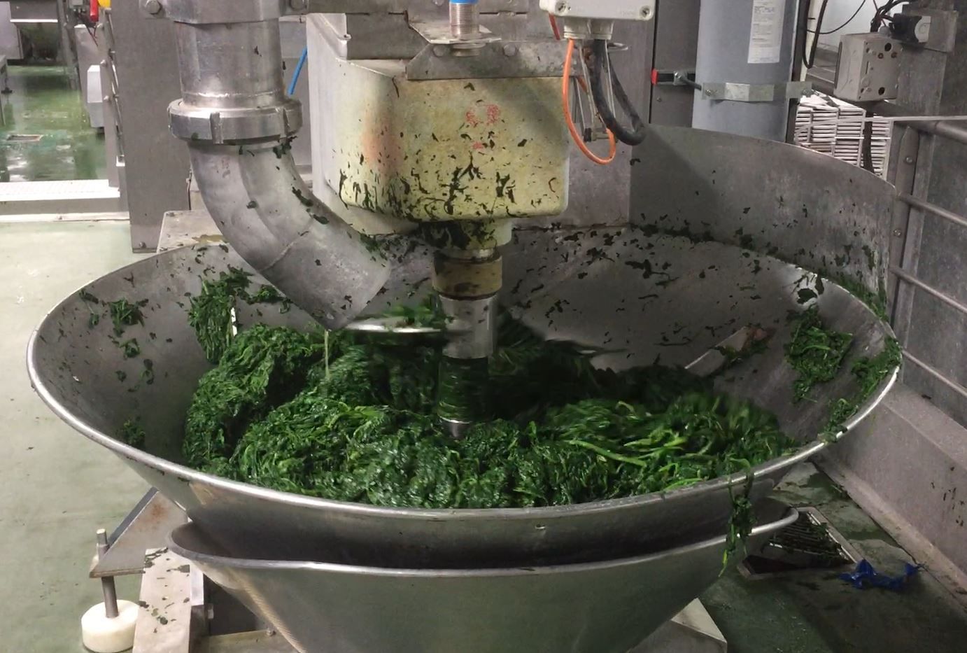 Spinach dosing dispenser - CEMMI - piston / for the food industry