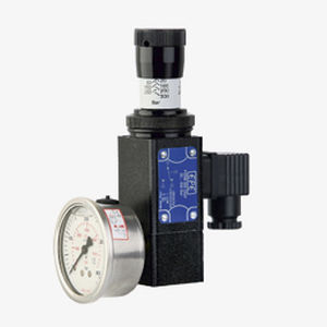 Electronic pressure switch - PSBM - EPE Process Filters & Accumulators ...