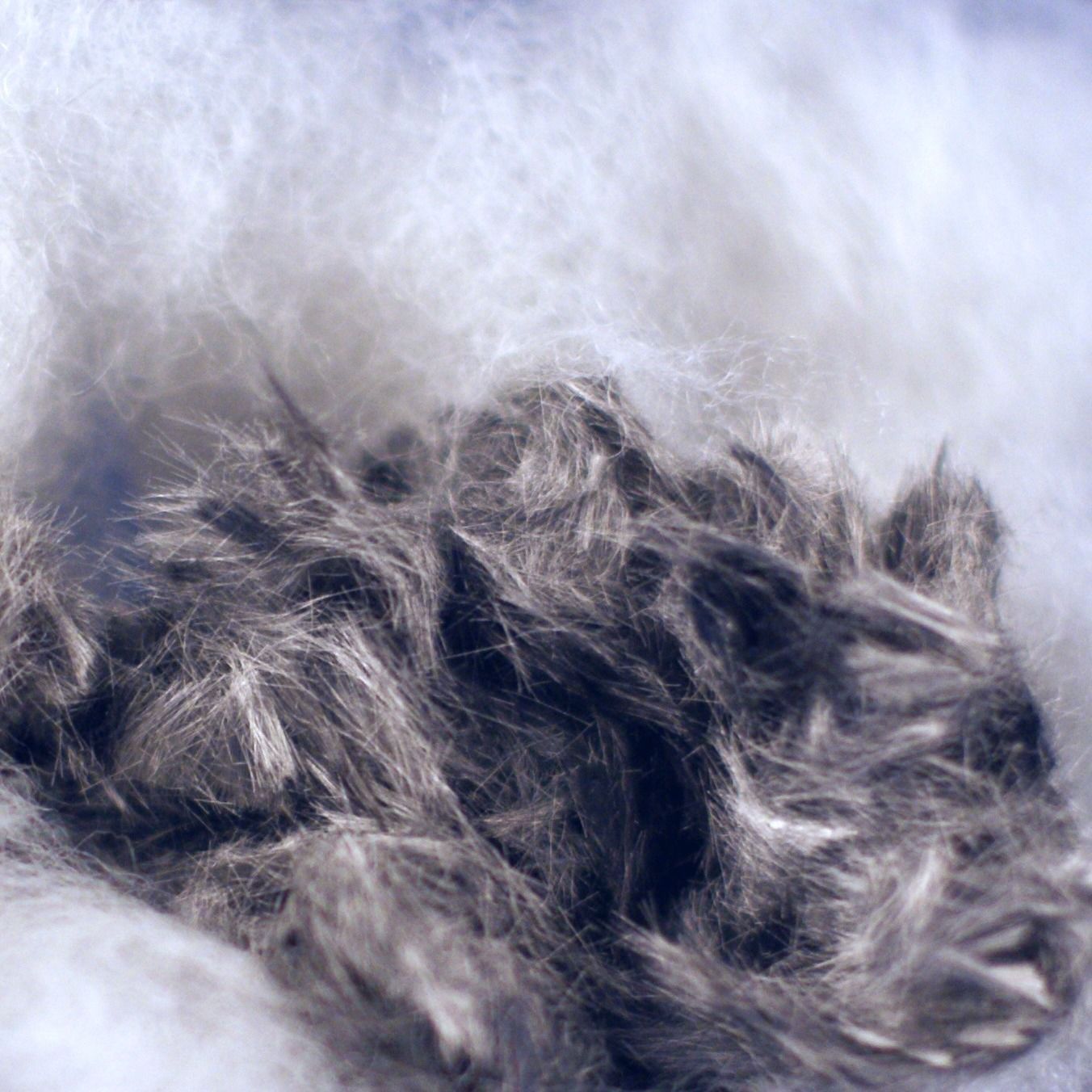 Stainless steel fiber - Imattec - roving