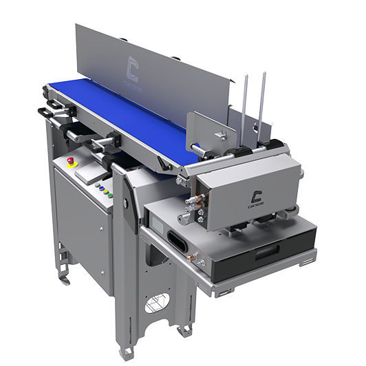 Belt conveyor - LEANONE - QUPAQ A/S - horizontal / handling / feeding