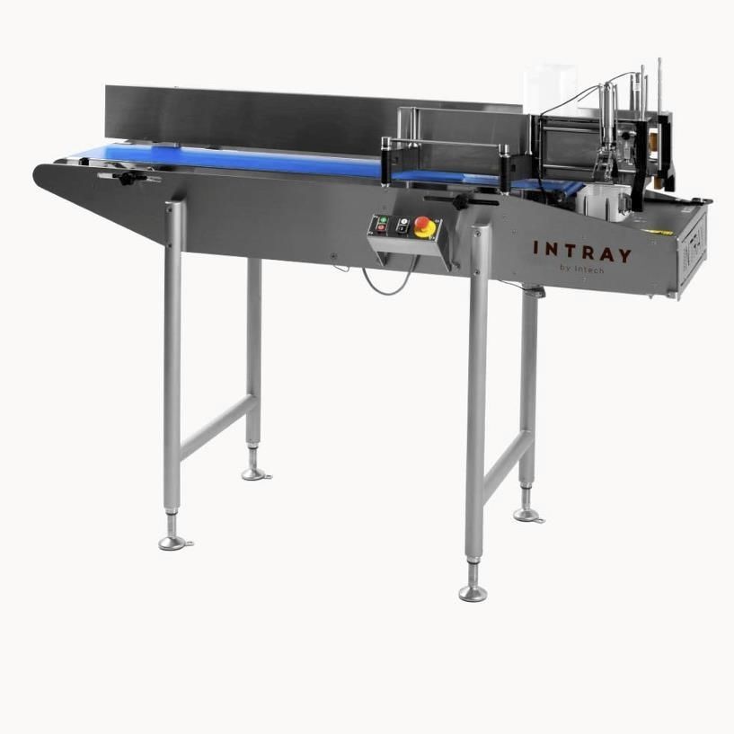 Belt conveyor - BASIC - QUPAQ A/S - buffer / automatic / tray