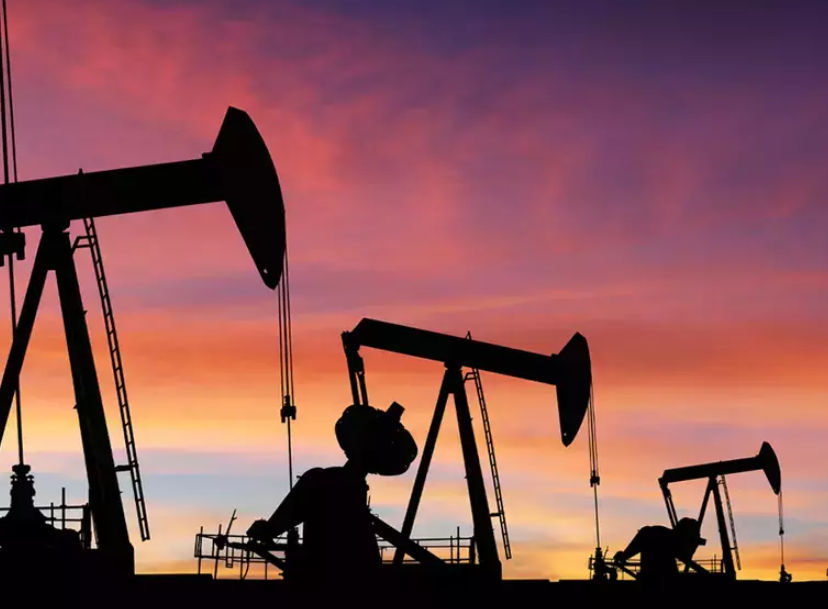 Optical data cable - Humanetics Sensors Fibercore - nylon-sheathed ...