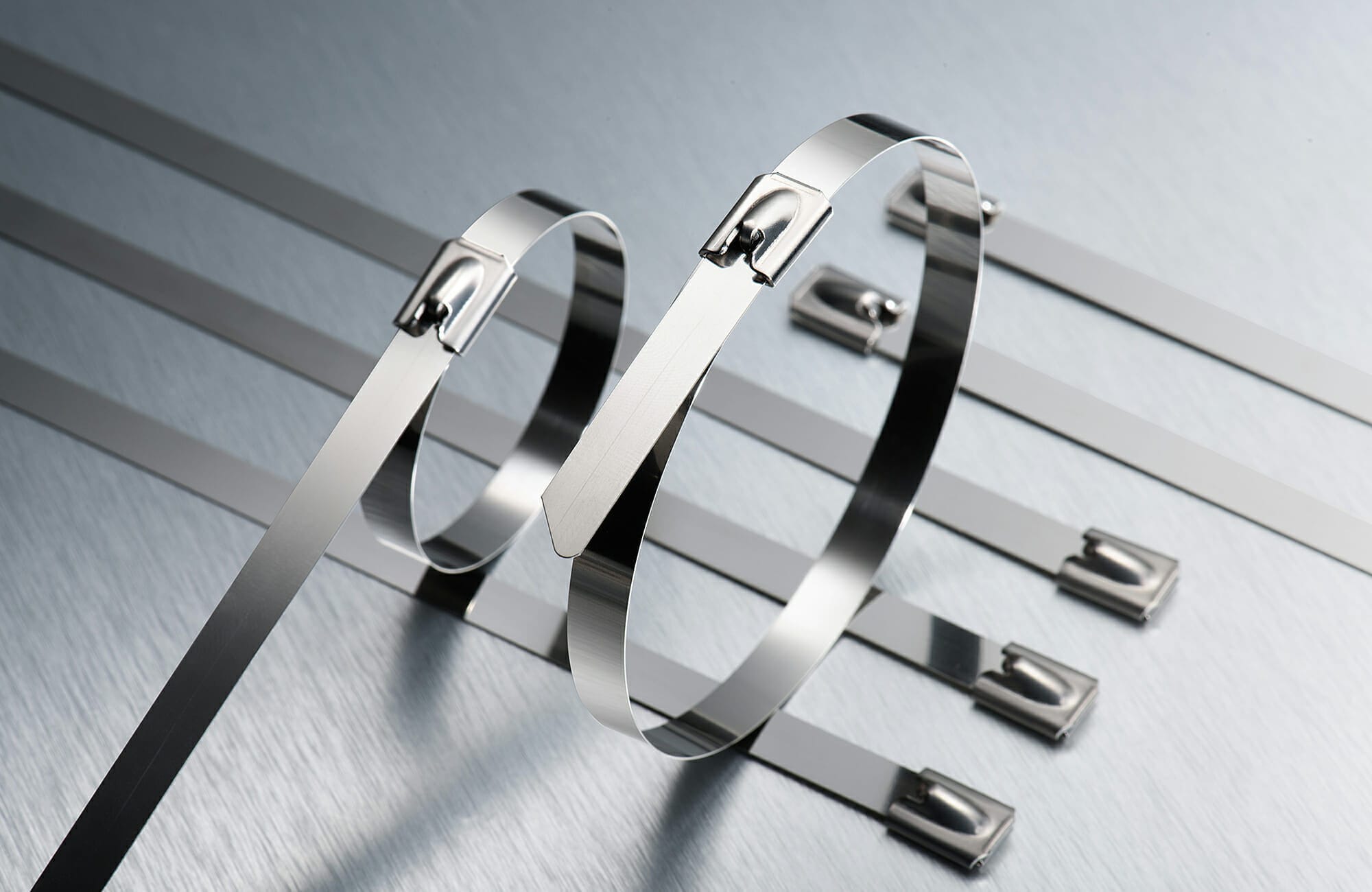 Stainless steel cable tie - YUEQING DANPU ELECTRIC ( LANGIR ) CO.,LTD.