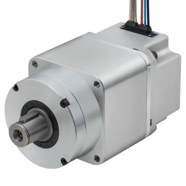 DC gear-motor - MS-B5BZD (Coming soon) - Mabuchi Motor Europe GmbH ...
