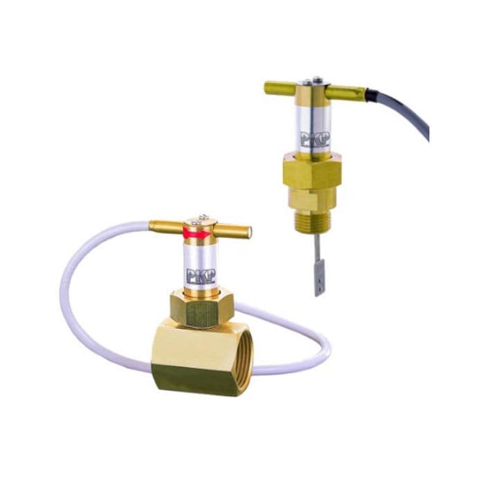 Reed flow switch - DP02 - PKP PROZESSMESSTECHNIK GMBH - paddle / for ...