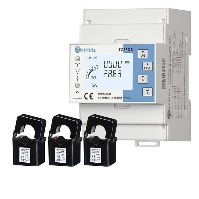 Three-phase electric energy meter - TC55DS - Rayfull Electric Technology(Zhejiang)Co., Ltd ...